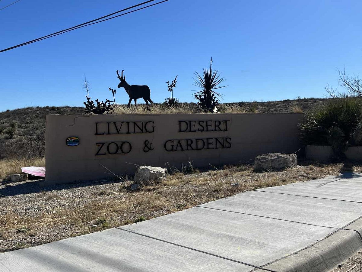 Touring the Living Desert Zoo & Gardens State Park | by Julia A. Keirns ...