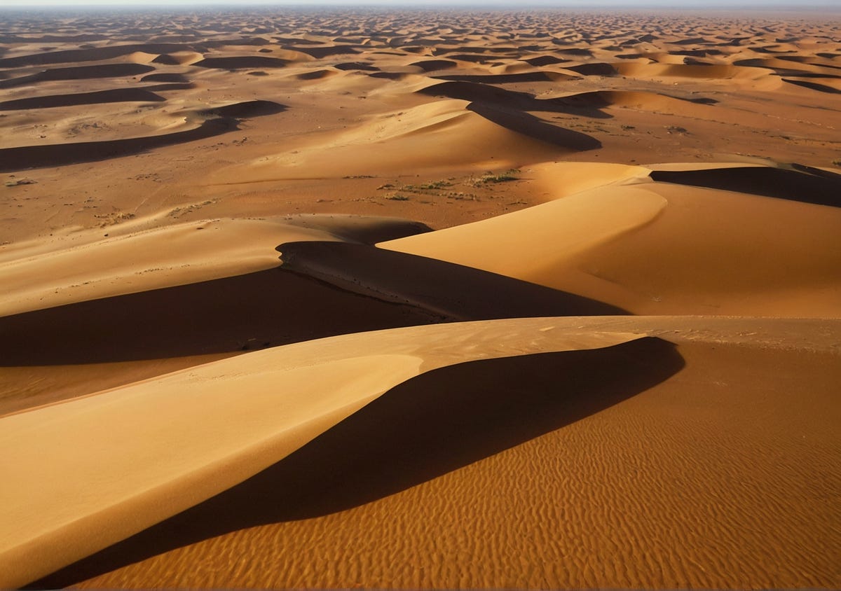 How the United Nations is Combating Sahara Desert Expansion | by neo ...