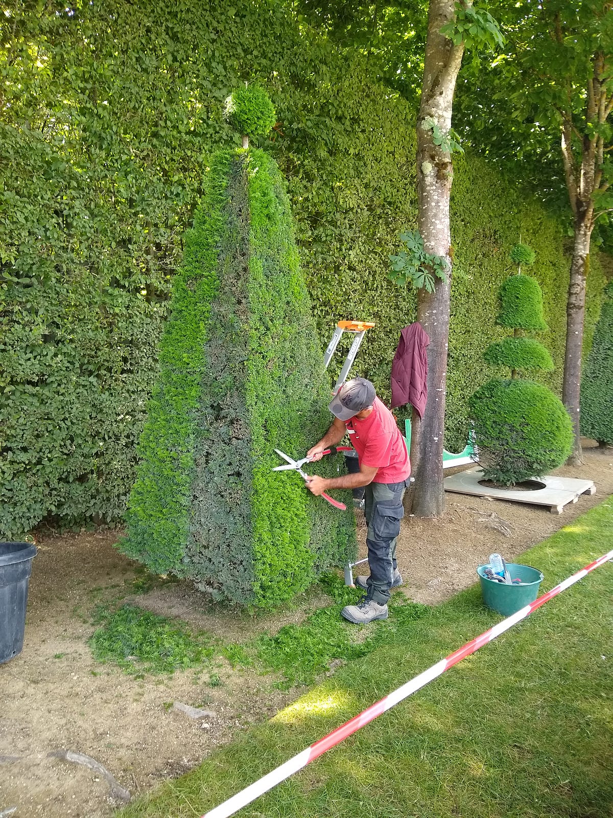 The garden of my work. Imagine my life’s work as a garden. At… | by ...