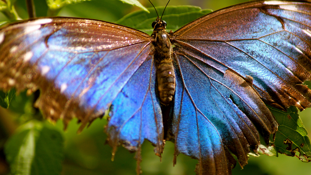 Embrace Scars, Inspire Resilience | by The Depth of the Daimon | Medium