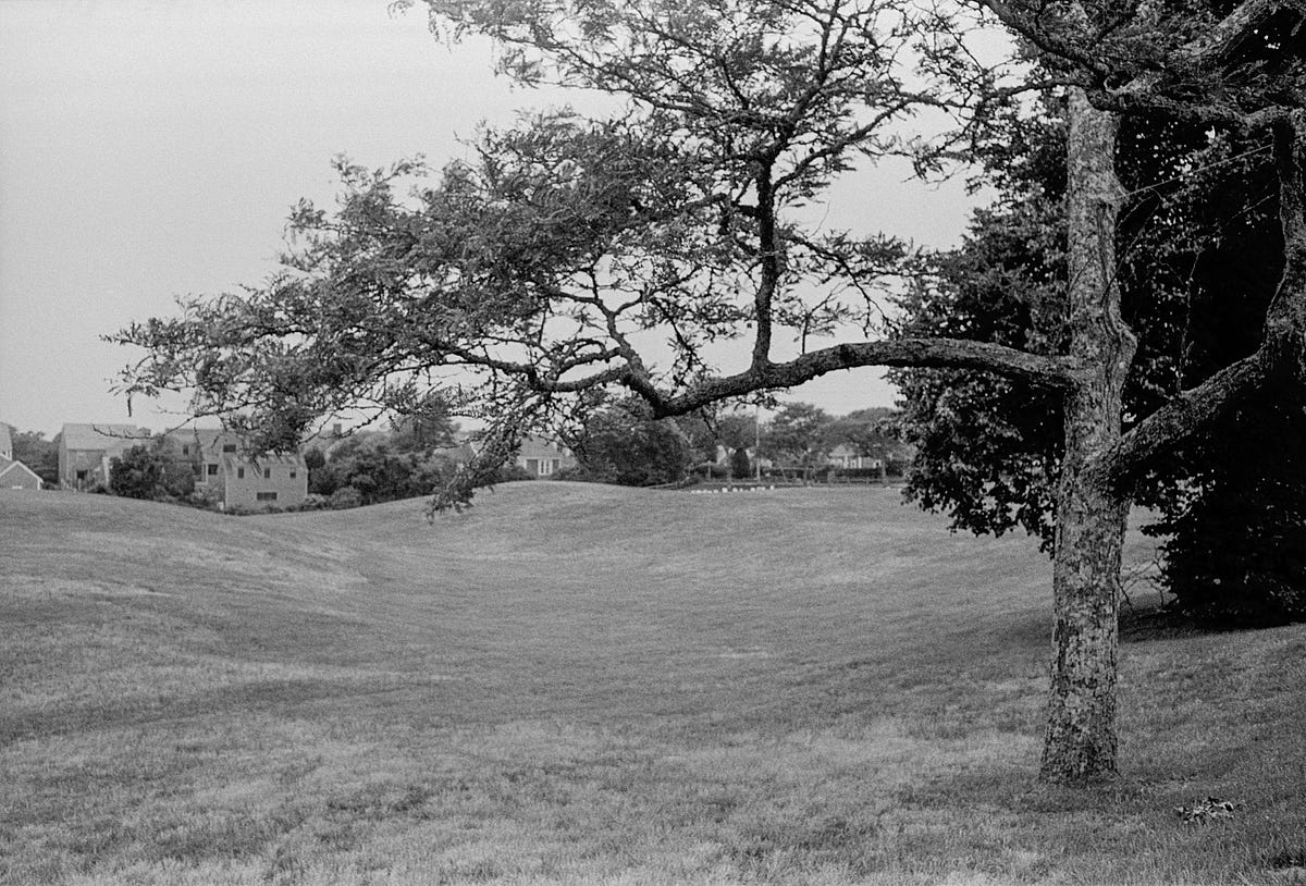 Quaker Graveyard. Nantucket Memories | by Amy Jasek | Medium
