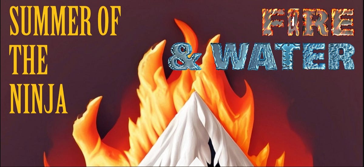 Everybody Wants to Be a Ninja! Martial Arts Summer Camps Offer Fun and ...