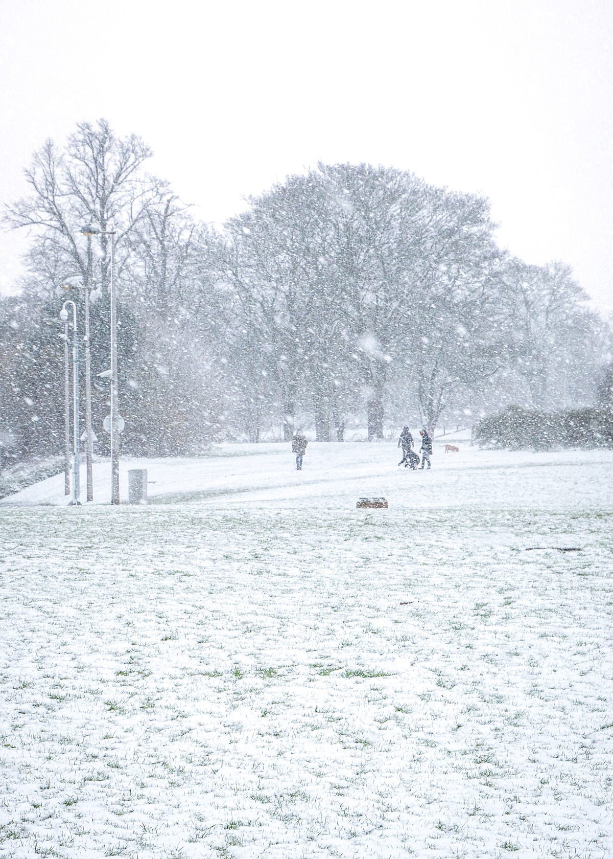 When Snow Drifts In, Flurries, Lays - Six Word Photo Story Challenge ...
