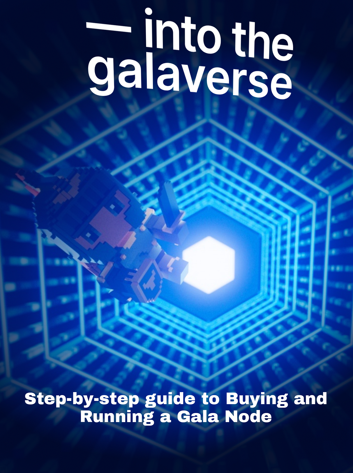 Step-by-step guide to Buying and Running a Gala Node | by node28000 ...