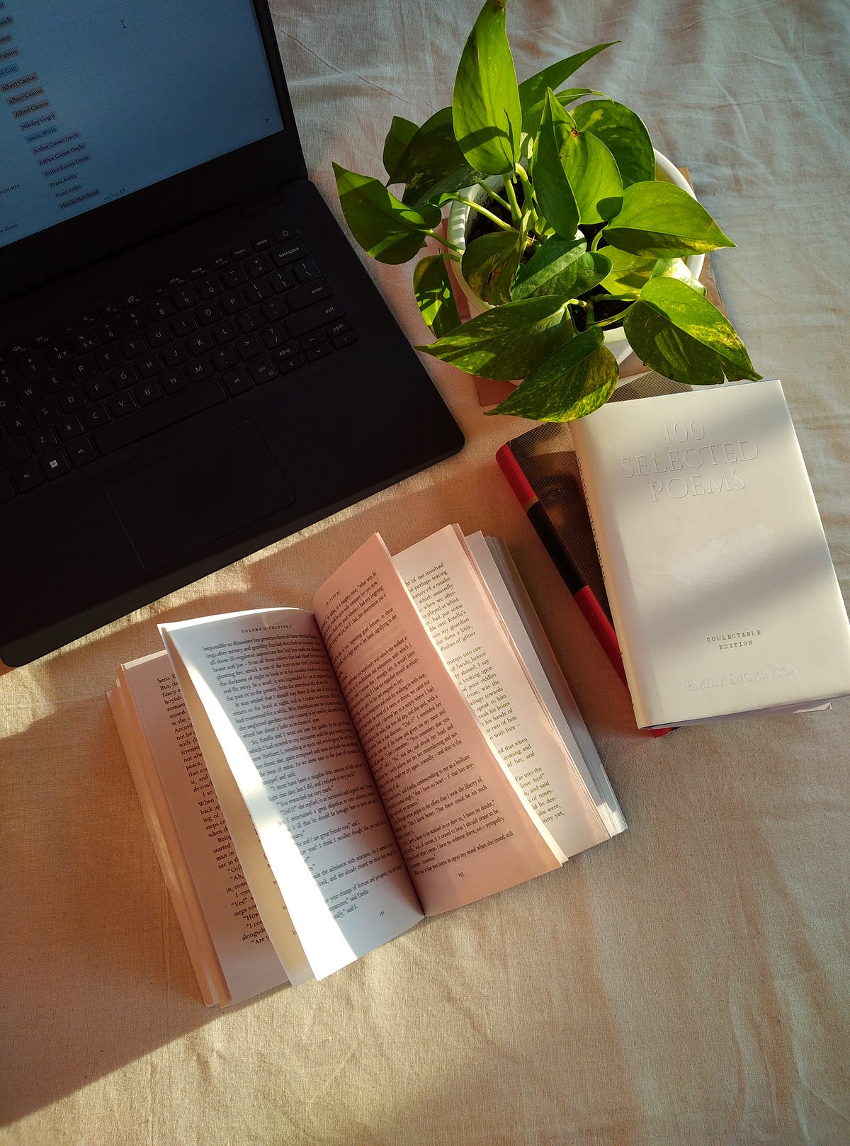 My Journey with Classic Books. How I Learned to Love Classic… | by ...