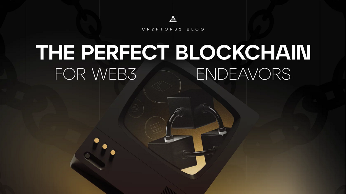 CHOOSING THE BEST CHAIN FOR WEB3 PROJECT | by Cryptorsy | Medium