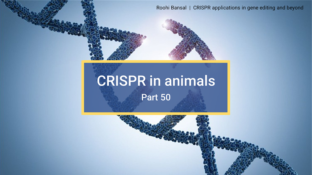 CRISPR in animals (Part 50- CRISPR in gene editing and beyond) | by ...