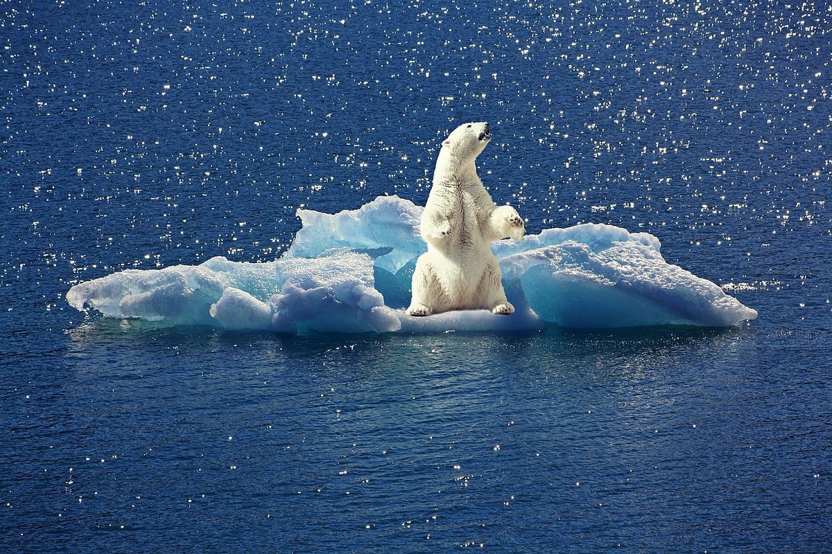 3 Haiku About Climate Change - VSS365 - Medium