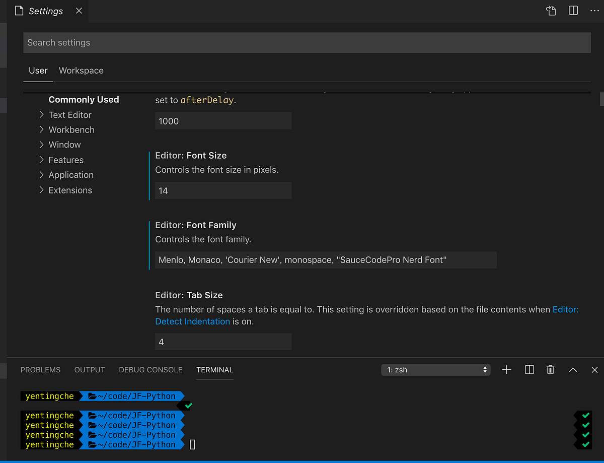 Visual Studio Code 中使用 Oh-My-Zsh. 先安裝在Visual Studio Code在Mac上 Visual… | by Jeff Yen | Medium