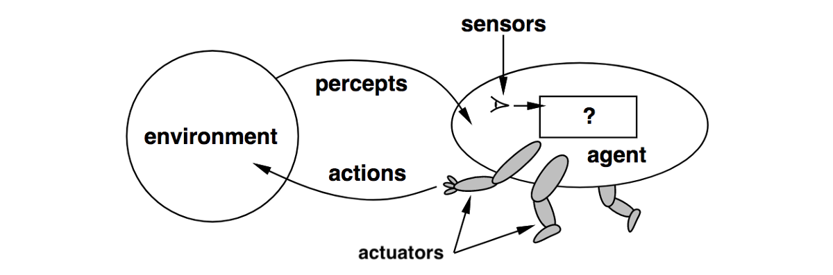 Quarantine, Intelligent Agents and Vacuum Cleaner | by Luca Pizziniaco ...