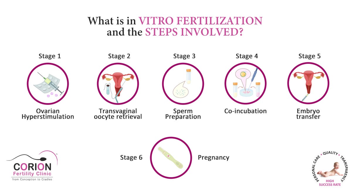 What is in vitro fertilization and the steps involved? | by Corion ...