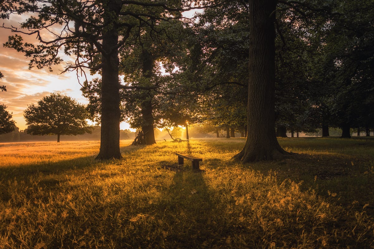 How to Find Your Quiet. We live loud, busy lives. Going all the… | by ...