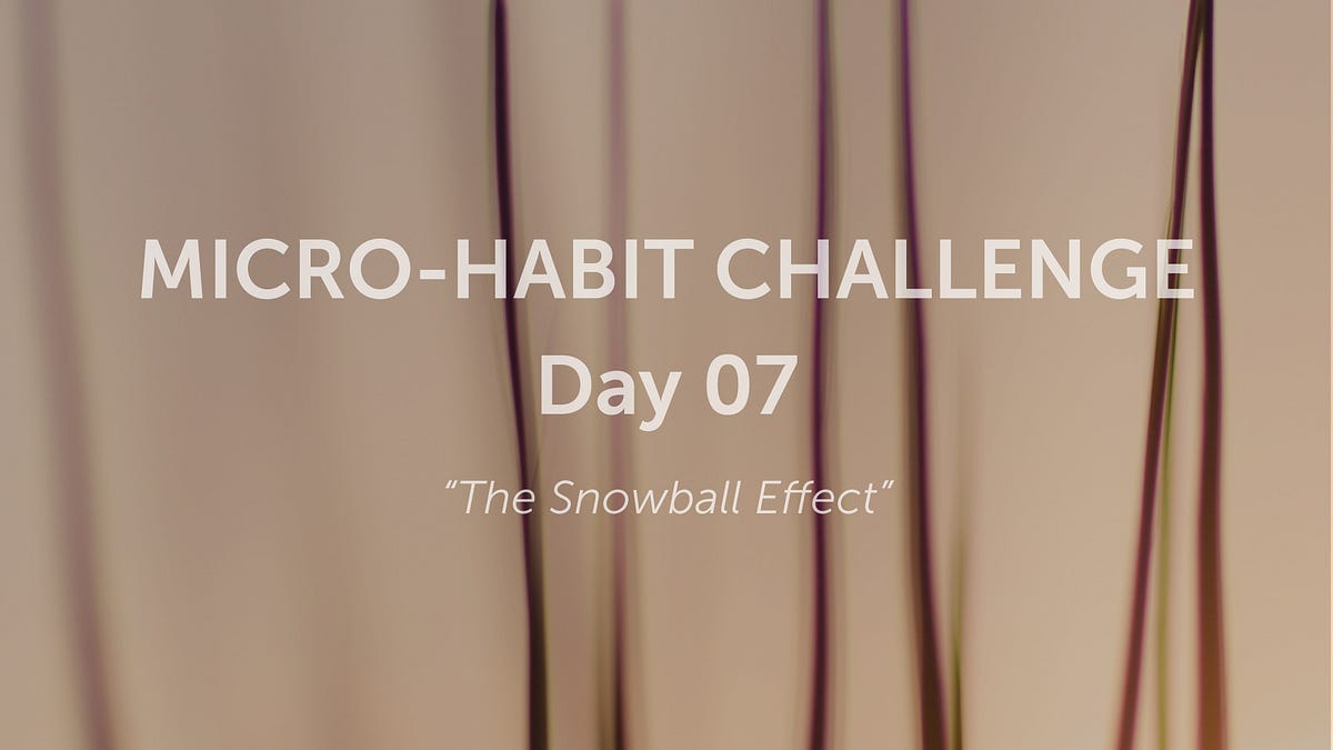 Two Week “Micro-Habit” Challenge: Day 07 | by Amina Moreau | Medium