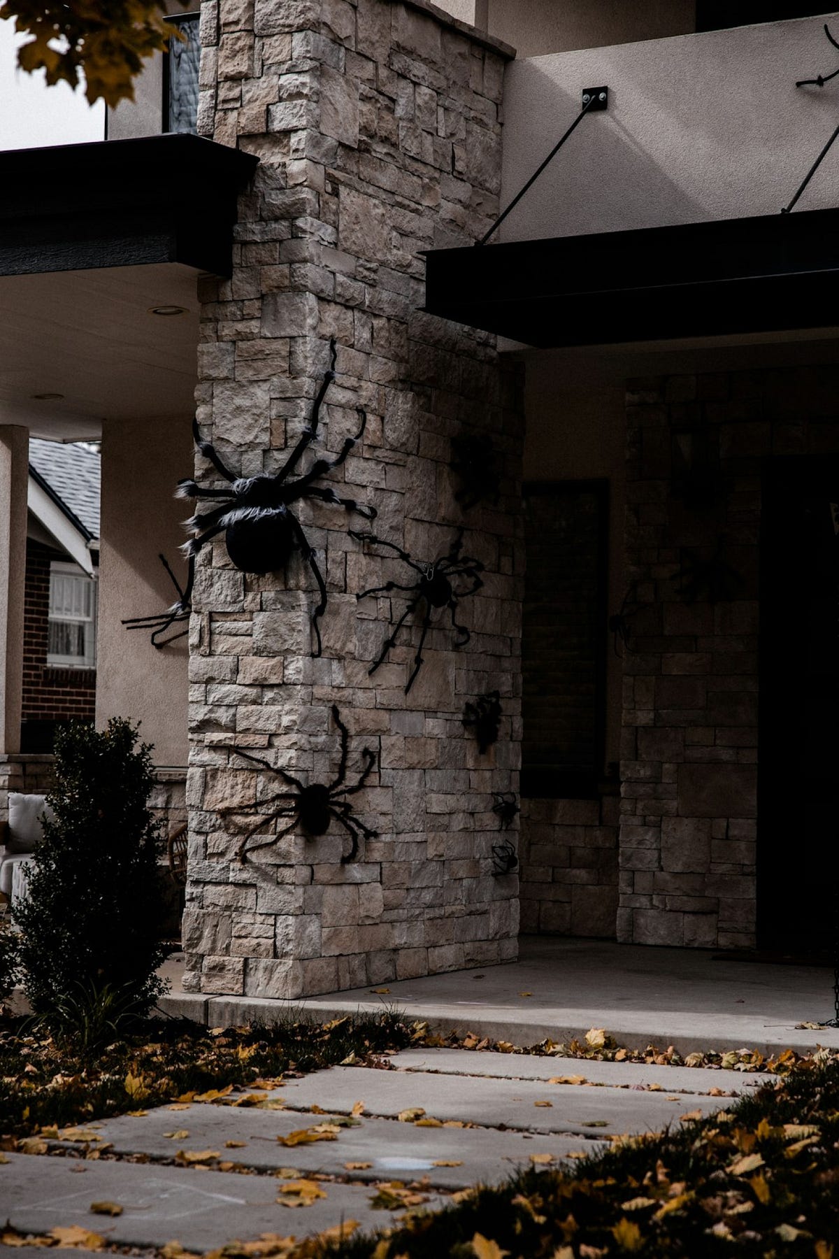 Why is your wall made of spiders? | by Tru McSerious | Medium
