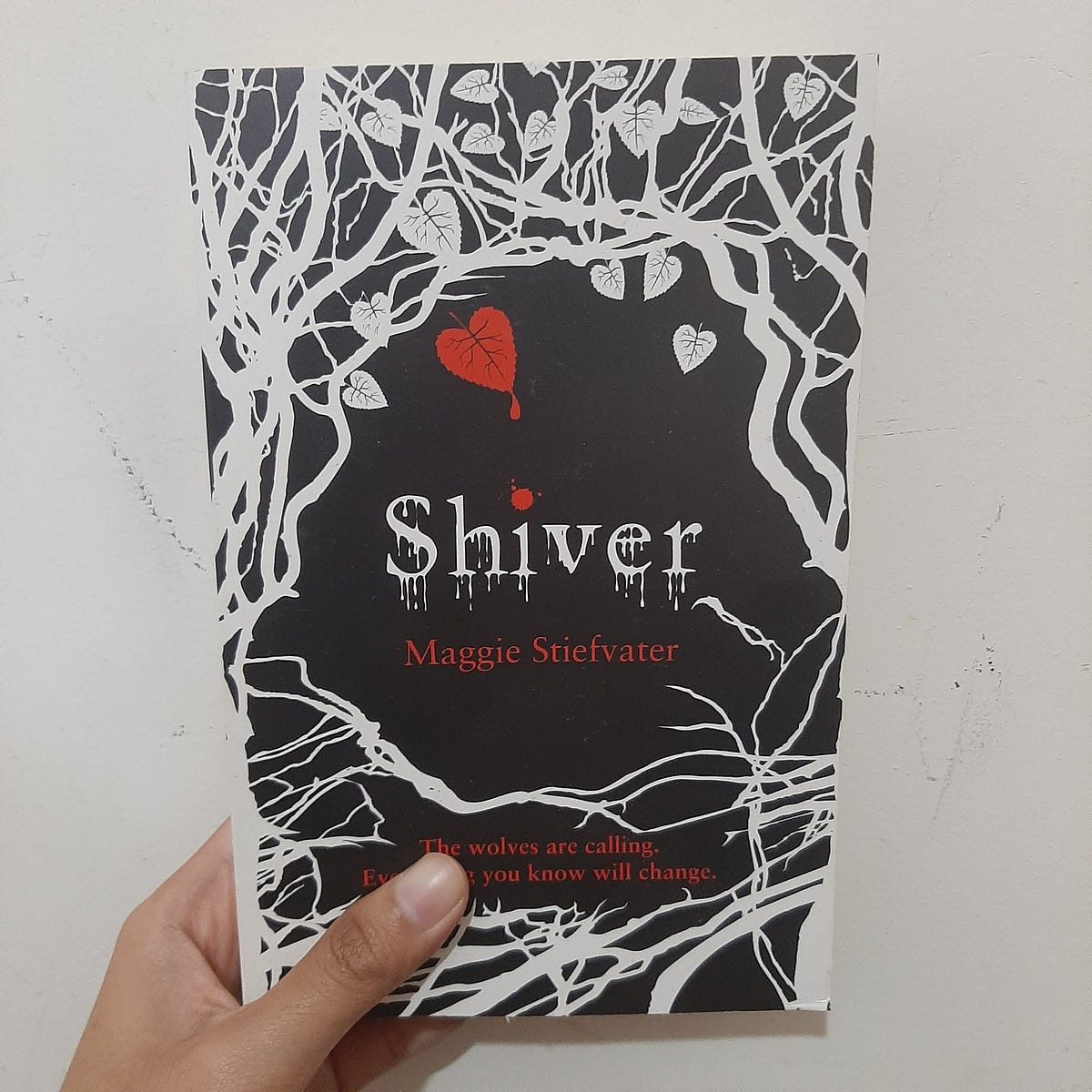 Book Review: Shiver by Maggie Stiefvater | by Mika | Medium