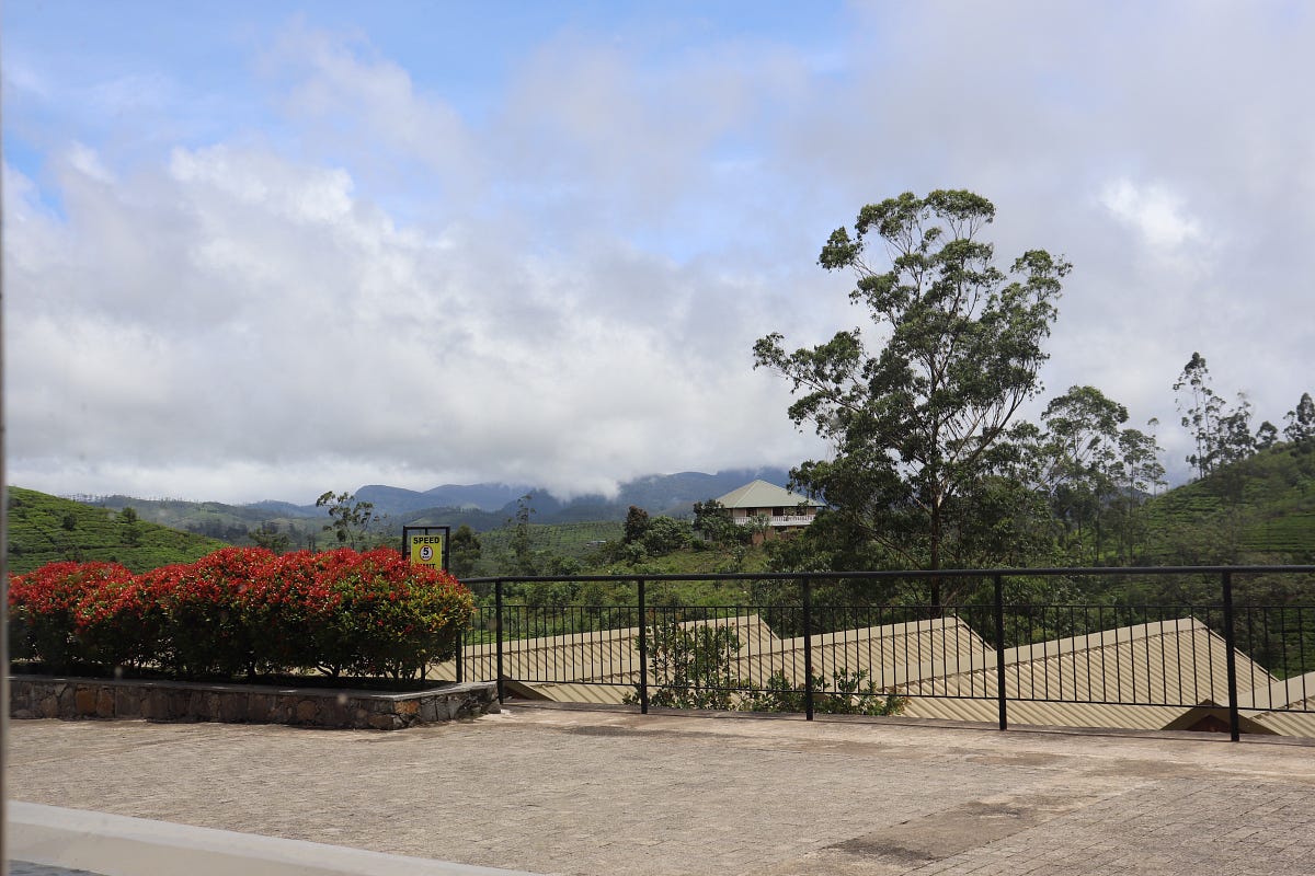 Travel Diaries: The Argyle, Hatton | by Nuzha Sharik | Jul, 2023 | Medium