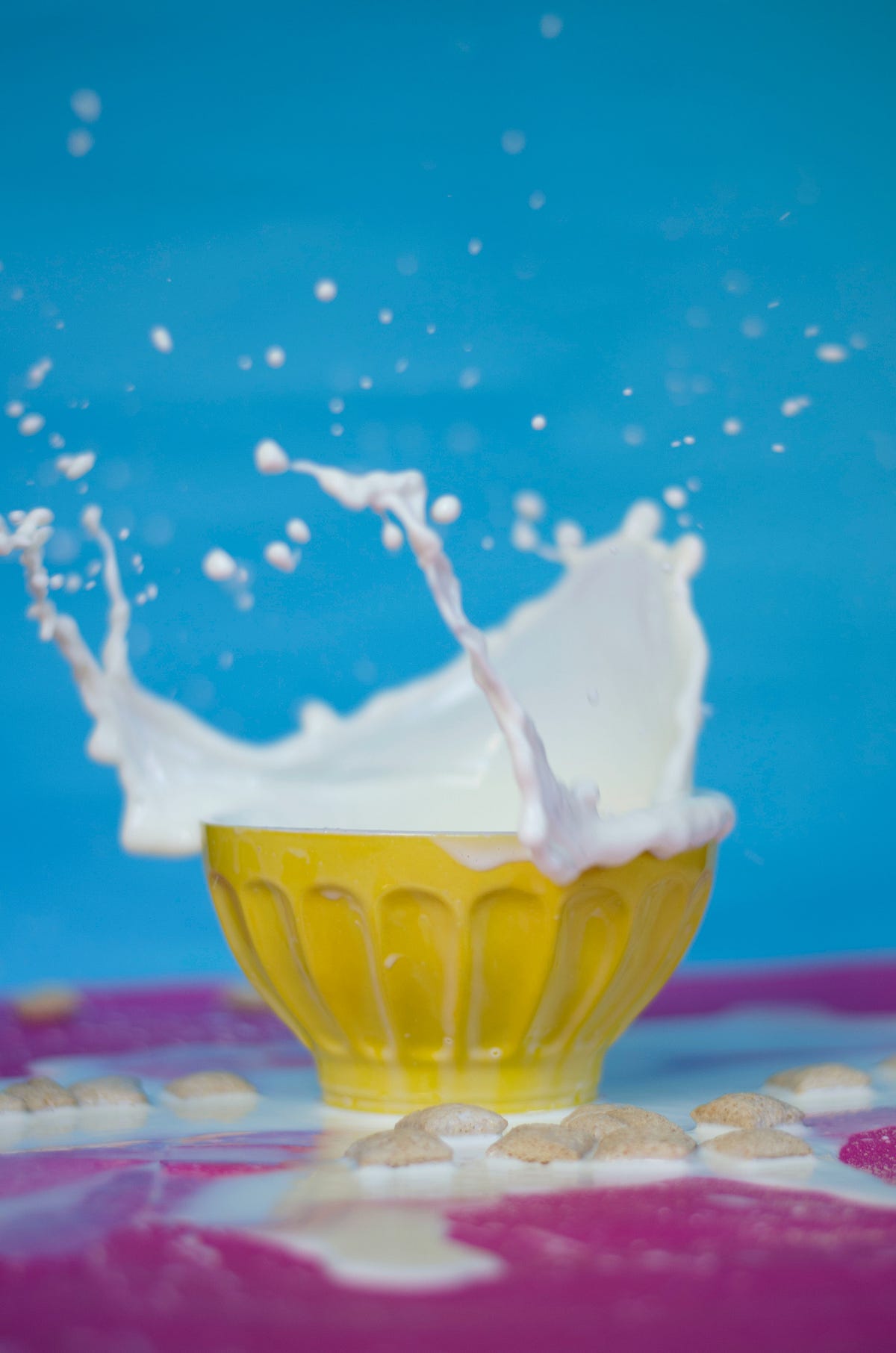 Mommy, Where Does the Milk Come From? | by Melissa Frost | Climate ...
