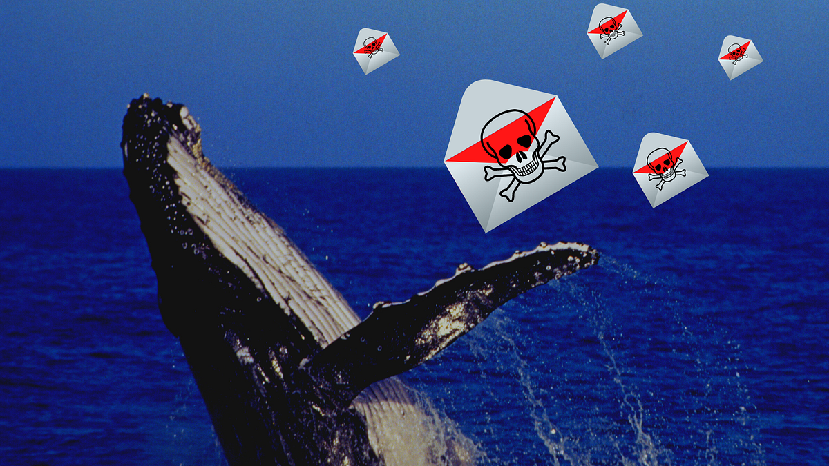 A Real Life ‘Whaling’ Attempt Was Made on Me (and How I Avoided the ...