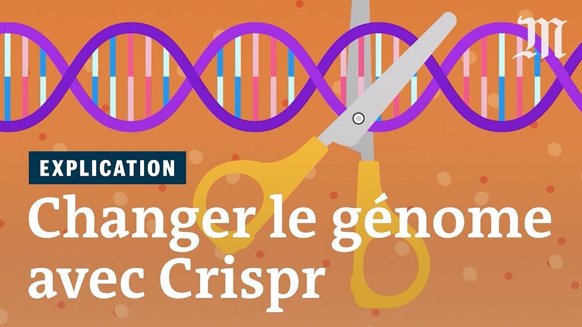 La modification génétique: Une bonne ou mauvaise innovation? | by ...