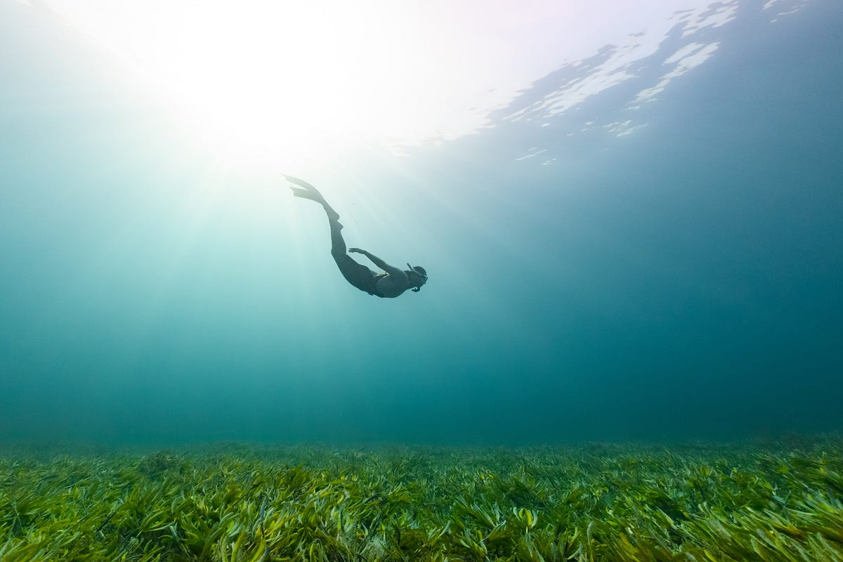 Day 14: Depth-First Search. A concise overview of the… | by Tarick Ali ...