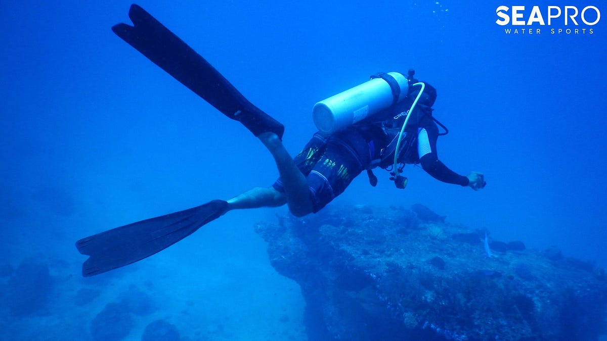 Scuba diving - Seapro Divers - Medium