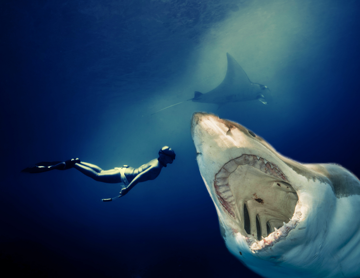 Chrissie Watkins Jaws Death