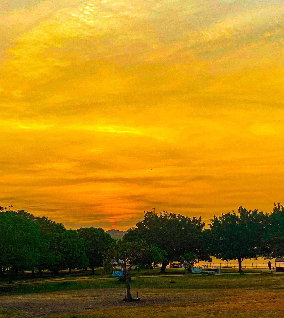 Grieving Letters #1. I must begin by saying my intentions… | by Pazqal ...