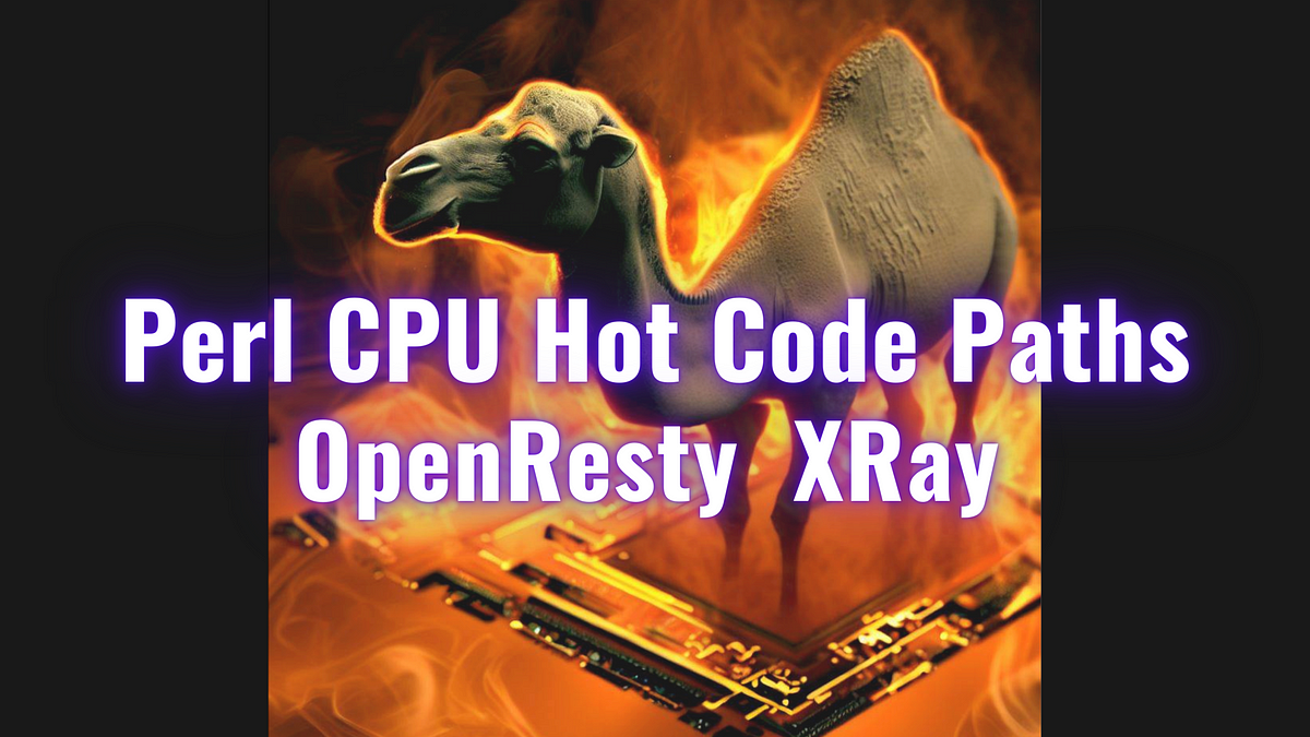 Pinpointing The Hottest Perl Code Paths In Openresty Nginx Servers Using Openresty Xray