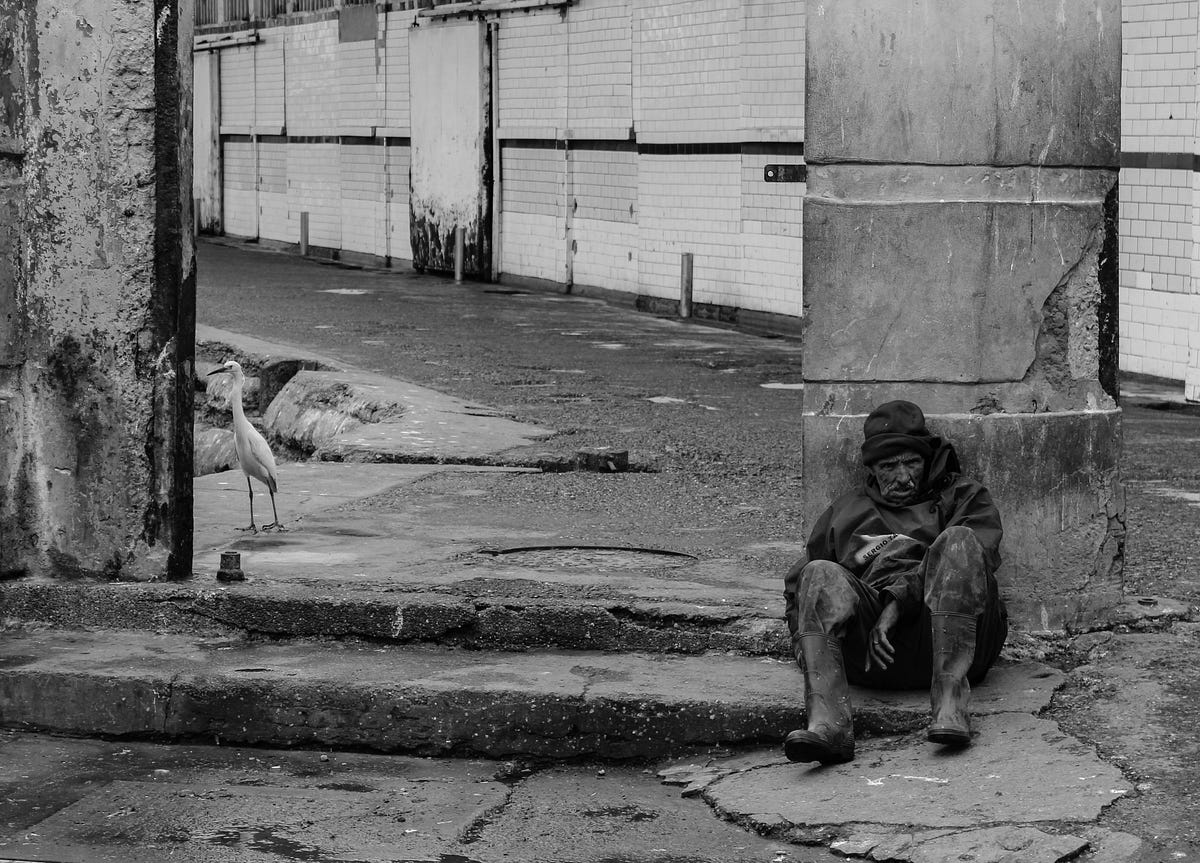 Where humans and gulls meet !. Photography escape, storytelling and… | by Hamza Senoussi | Medium