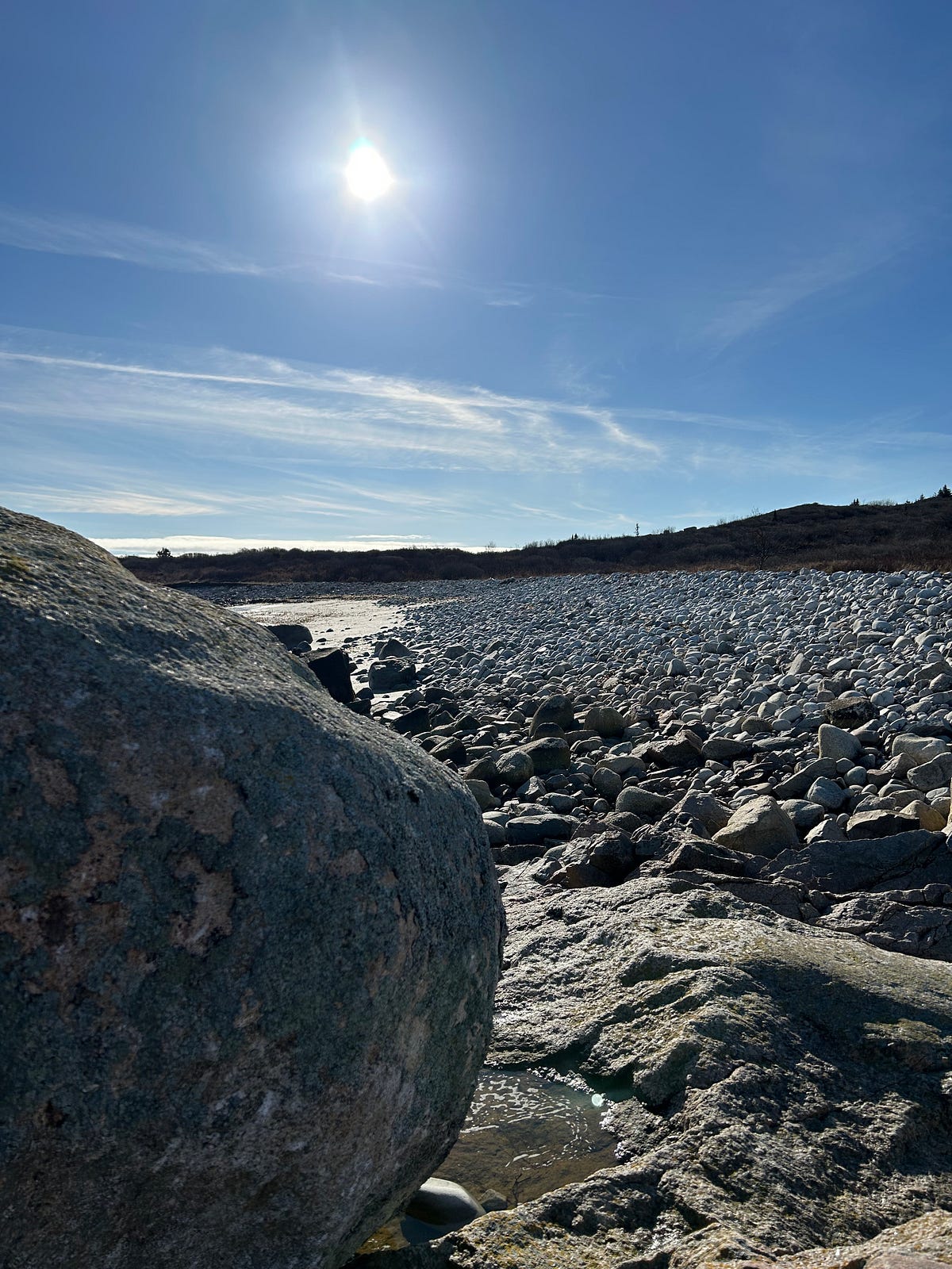 I Am Never Going To Say Goodbye | by Janie Forb | Medium