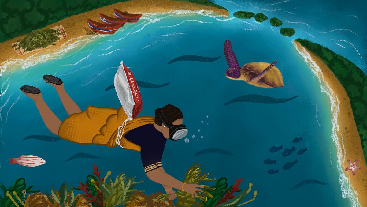 Living Off The Sea- Seaweed Harvesting at India’s Southern Tip | by ...
