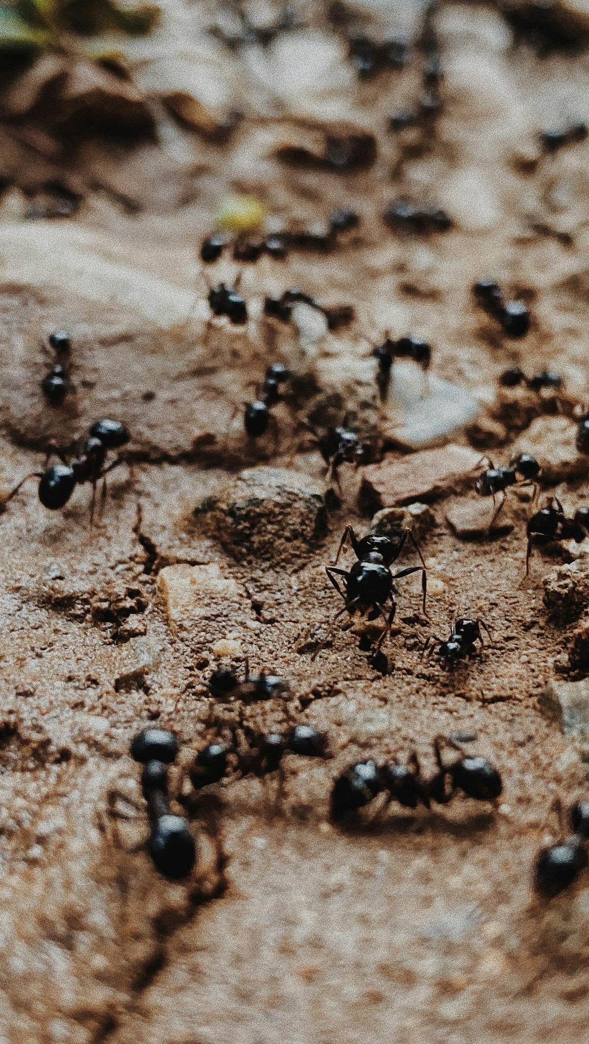 Why Doesn’t It Feel Like Progress? | by Behairedman | New Writers Welcome | Medium