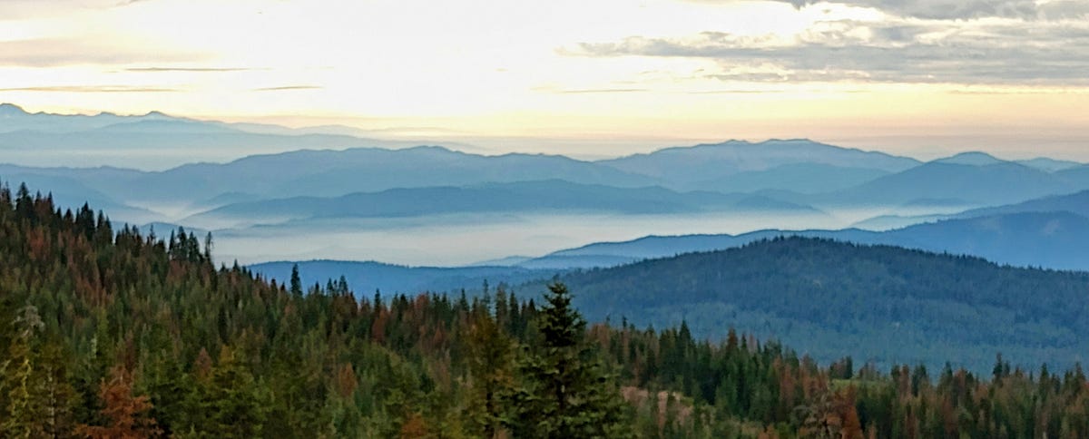 Sentient Matters. Why speak unless you can improve upon… | by sharon ...