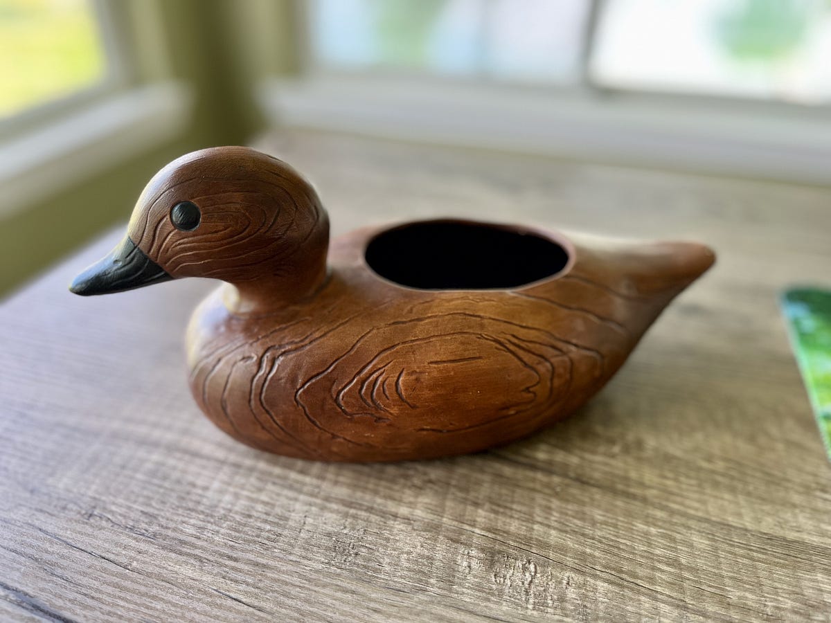 The Duck | by Mike Sisk | Aug, 2023 | Medium