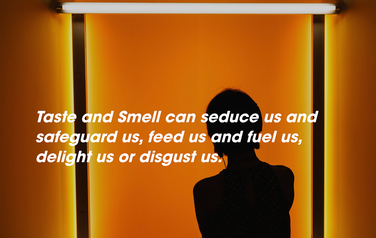 A Day to Celebrate Our Senses, The First World Taste & Smell Day ...