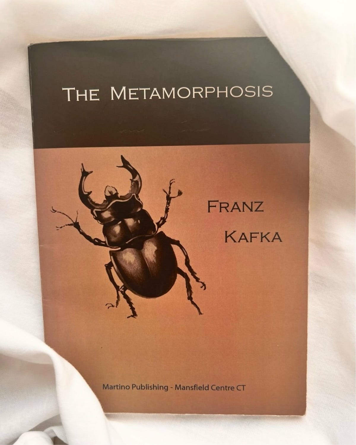 Metamorphosis by Franz Kafka. Book Review of a Must-Read Classic Work ...