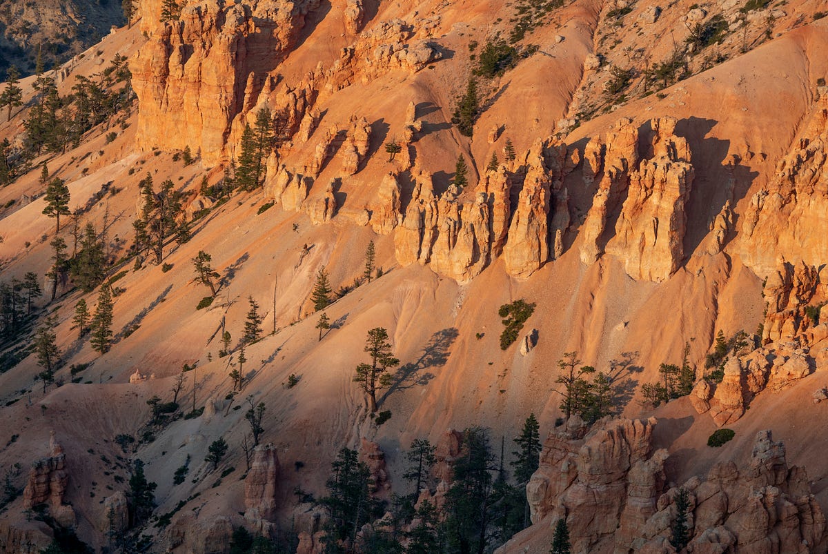 Using the Substring Function in BigQuery | by Christianlauer | Towards Dev