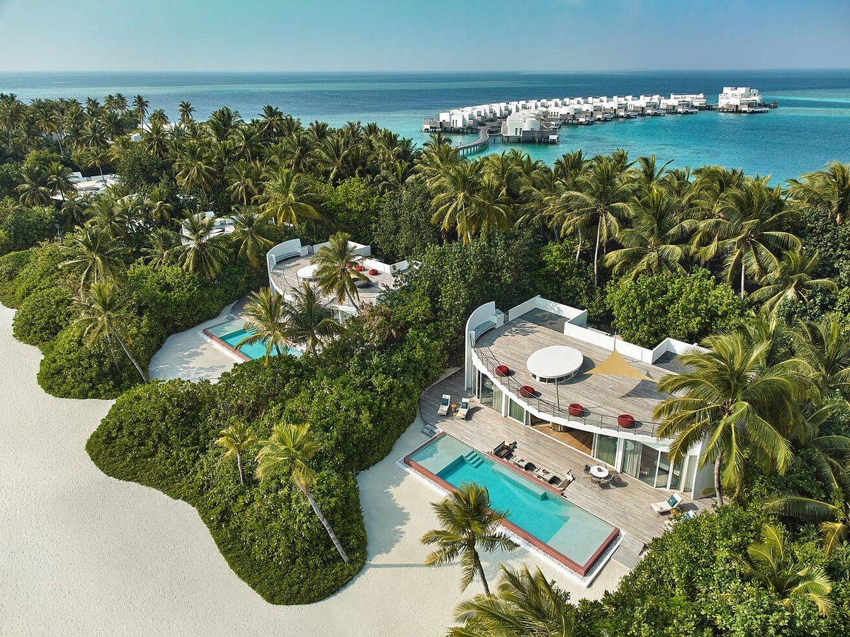 My dream vacation. When I envision a just world the… | by samar zribi ...