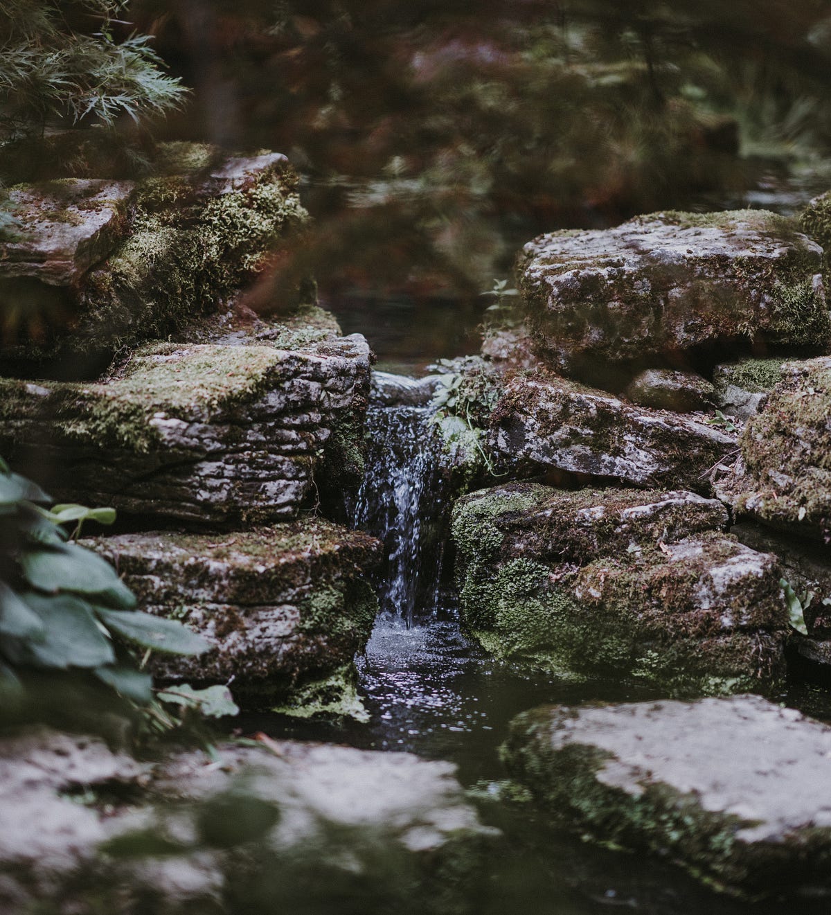In Slowness. The slow trickle of time | by Rachel B. | The Junction ...