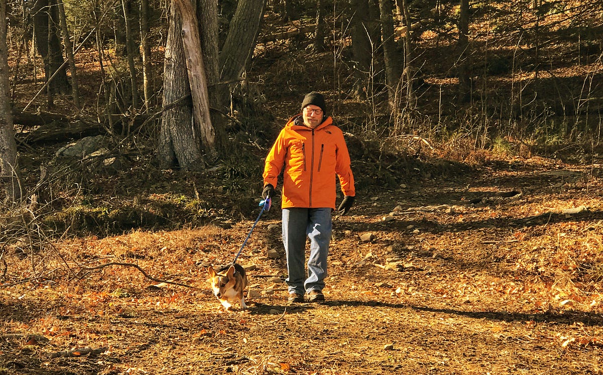 God Made Wolves but Man Made Dogs. by David Paul Kirkpatrick | Medium