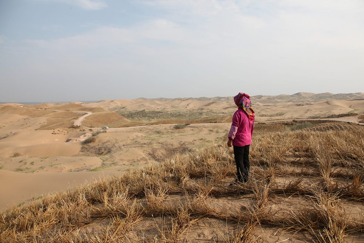 Hot Docs 2019 Interview: Shannon Walsh | by Siân Melton | MUFF Blog ...