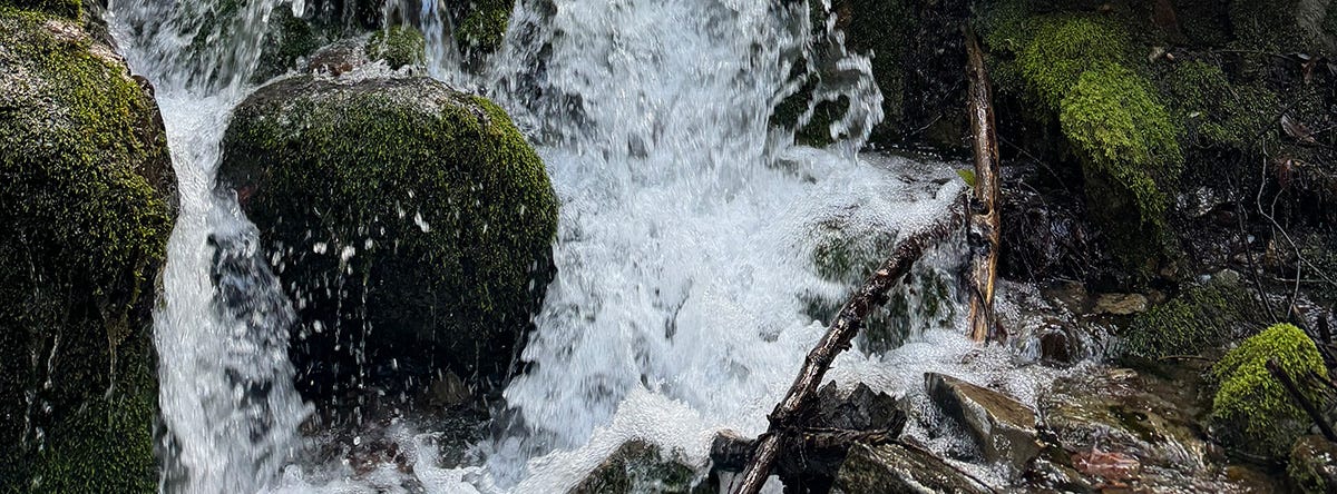 The Joy of Running Water. You walk differently next to running… | by ...