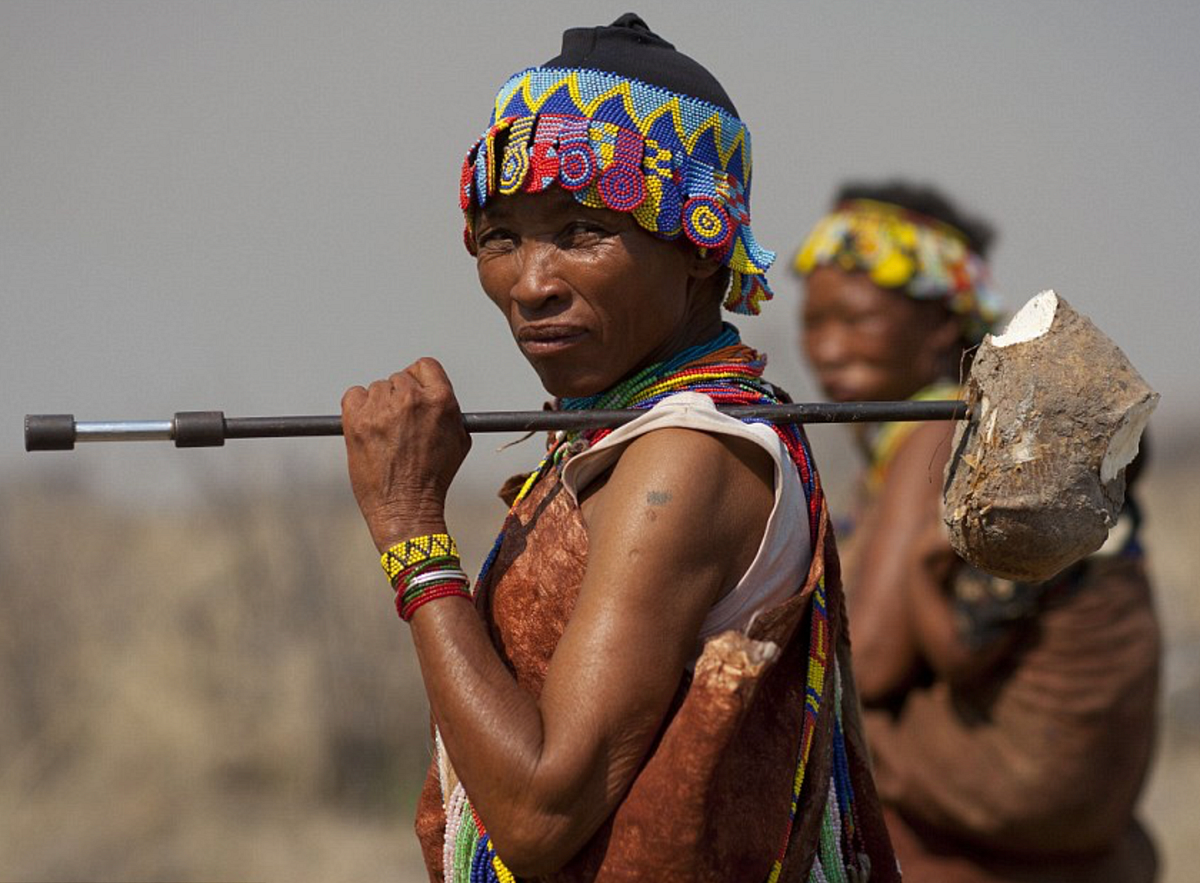 The San of the Kalahari: A Fascinating Look at an Indigenous Tribe | by ...