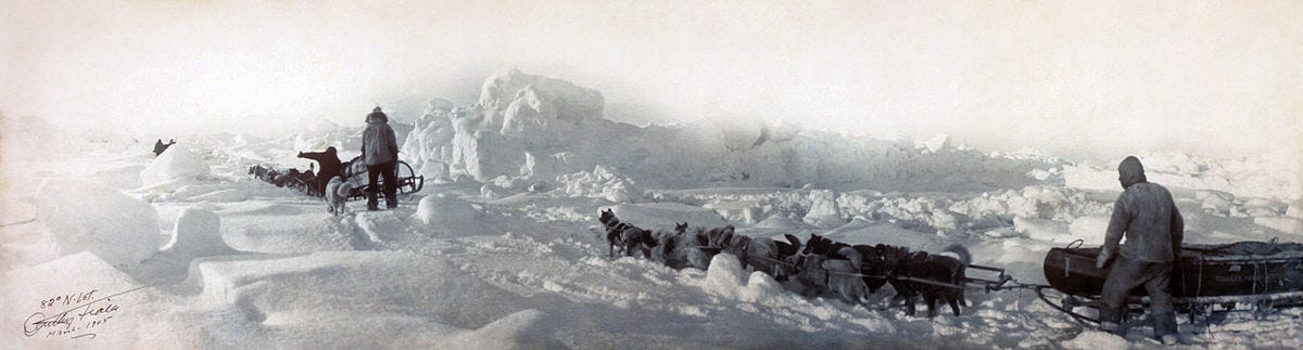 The Deadliest Arctic Expeditions. The failures that paved the way to ...