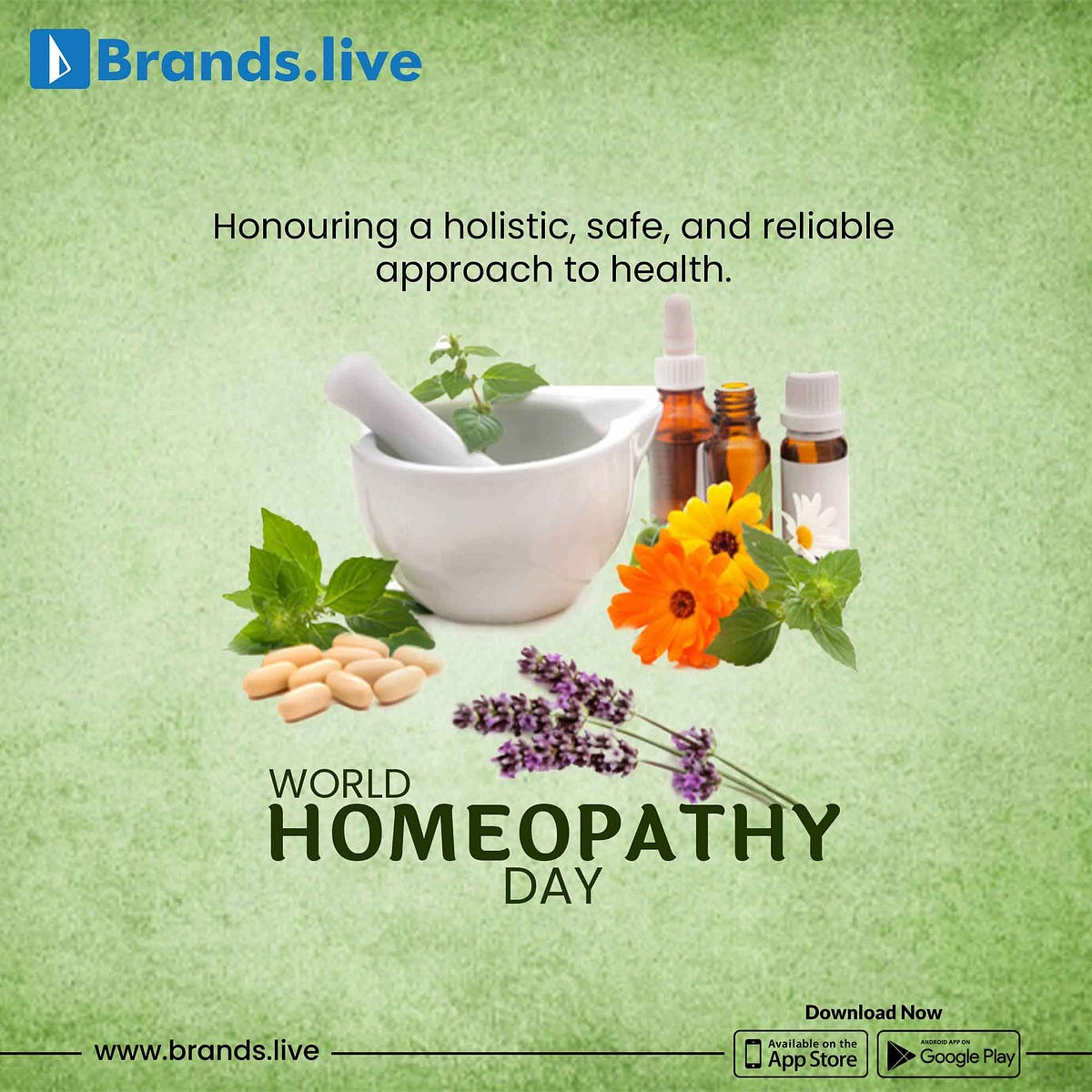 Celebrating World Homeopathy Day: Understanding the Benefits of this ...