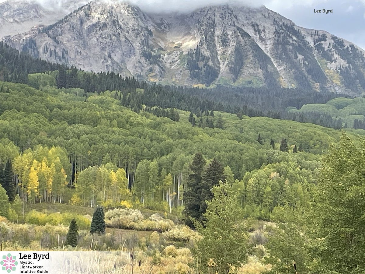 Leaving the North Fork Valley. Moving on from the past to meet the ...
