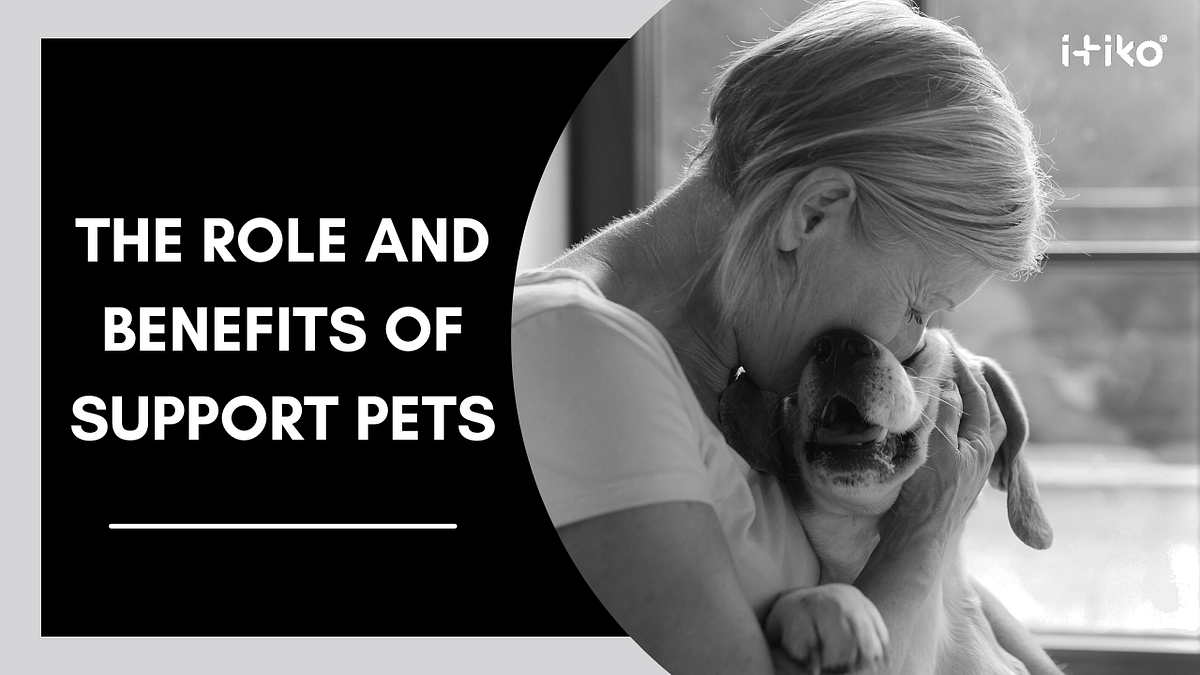 The Role and Benefits of Support Pets | by Itiko - Delightful Nutrition ...