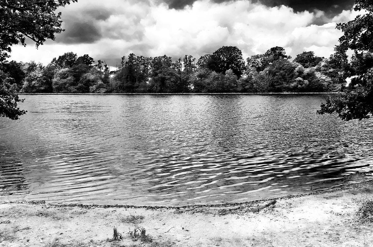 This love. the water demands nothing of me just… | by Weaving Poetry ...