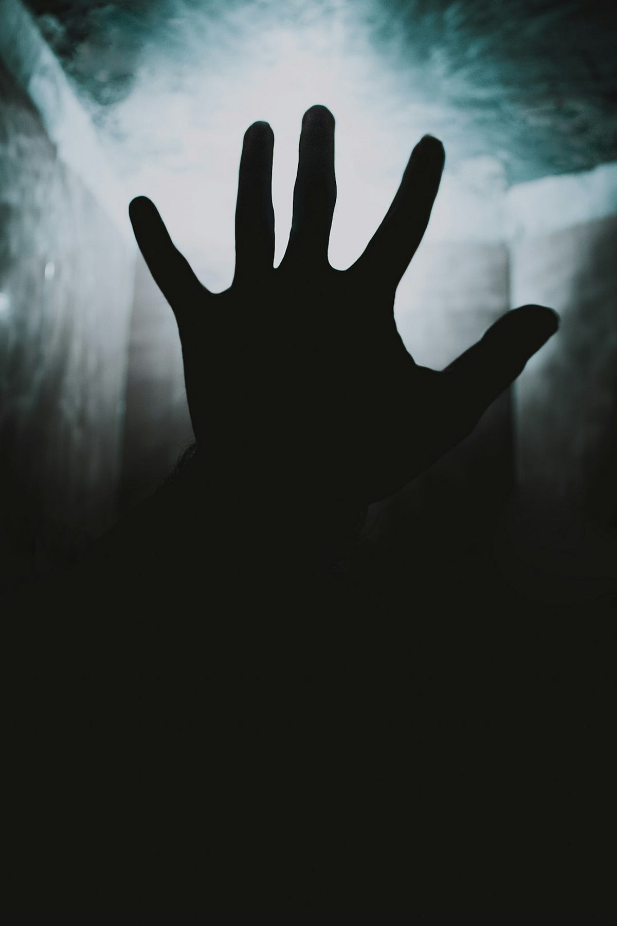 Twilight’s Curse: Shadows Over Bliss | by Luna@Latinx Bridges ...