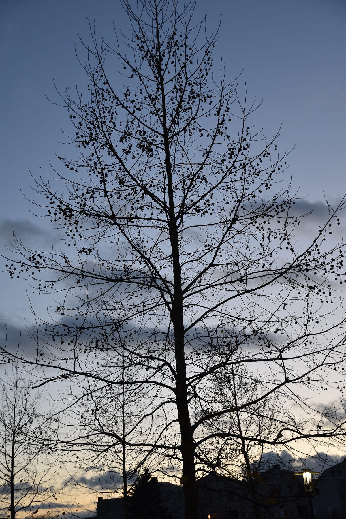 Transition - Six Word Photo Story Challenge - Medium